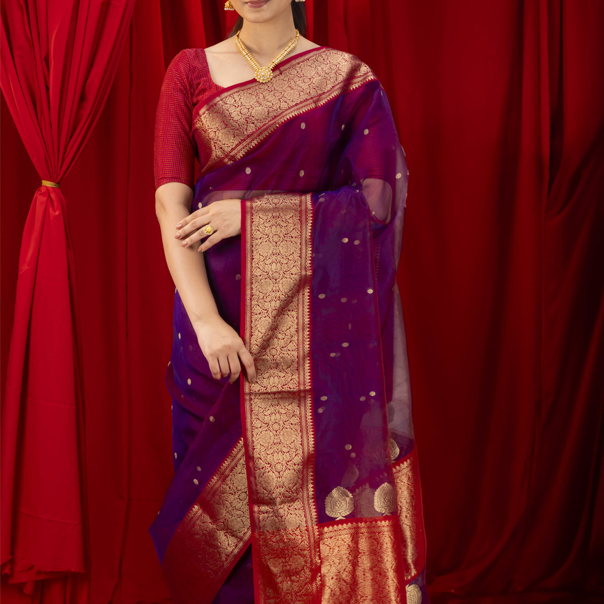 Chanderi Sarees – Shop Silk & Cotton Sarees Online – Rani Zaver